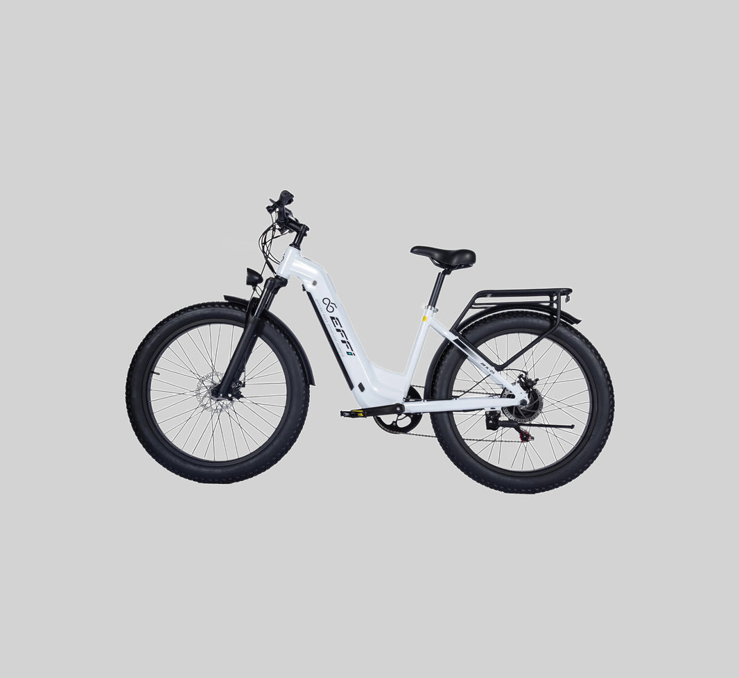 Mountain E-Bikes – EFFI Bike