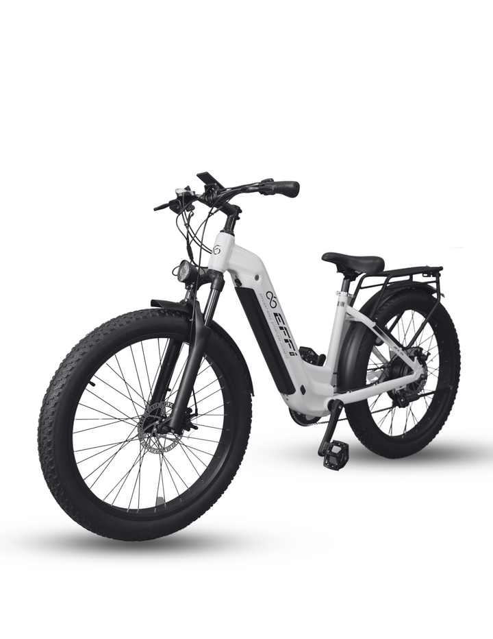 Y800 Hydrogen Fuel Cell Sports E-Bike,with Hydrogen Generator – EFFI Bike