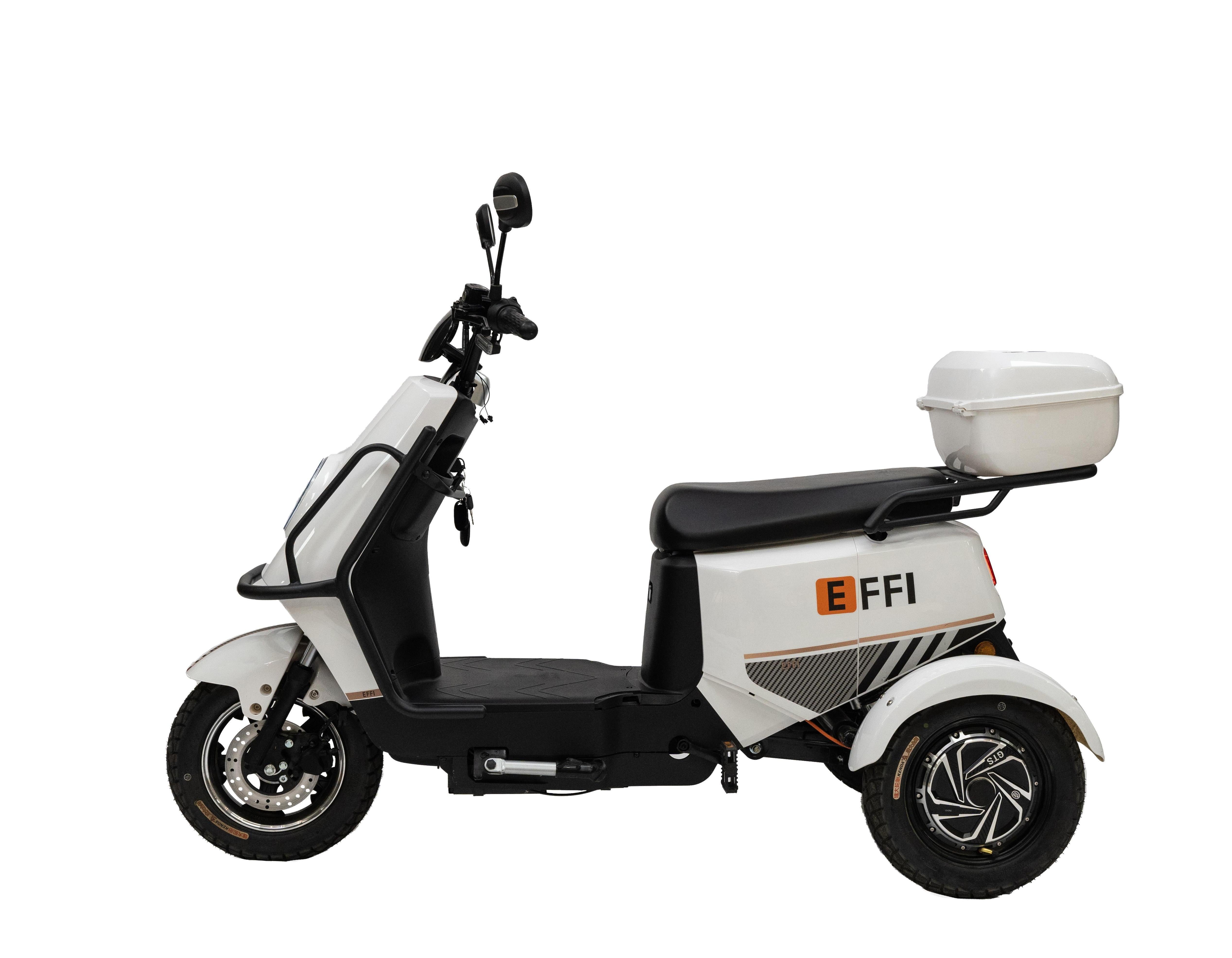Terrain Master – EFFI Bike